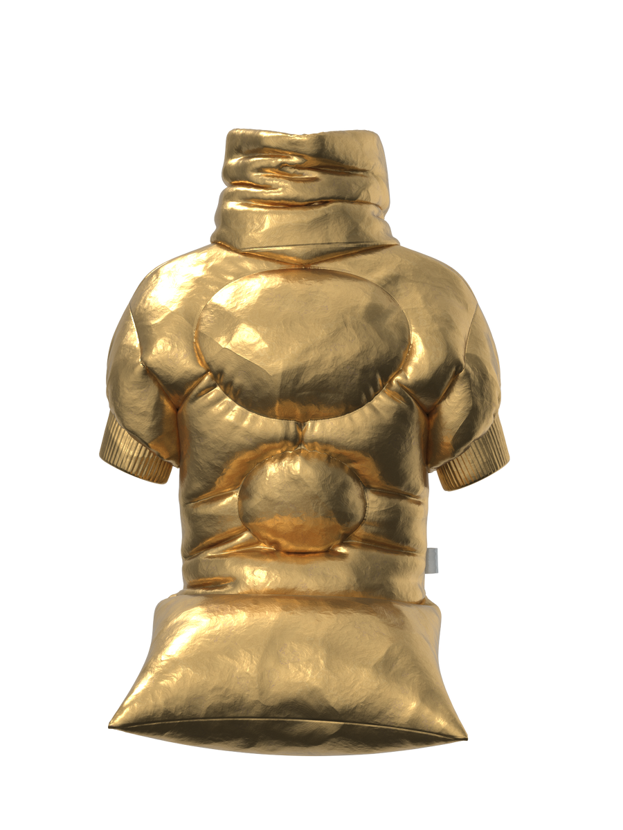 OVA-04-VENUS – DRESSX / More Dash Inc. dba DRESSX