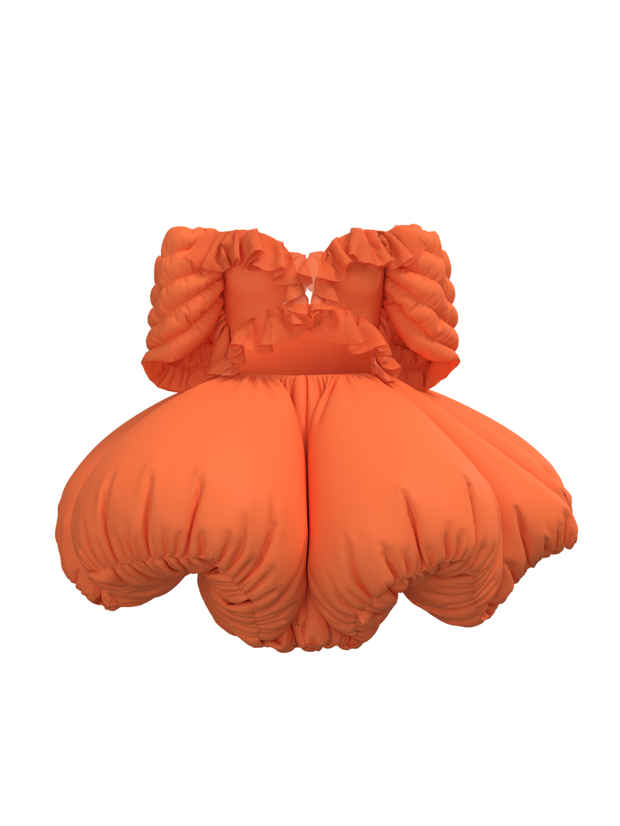 Jelly Dress – DRESSX / More Dash Inc. dba DRESSX