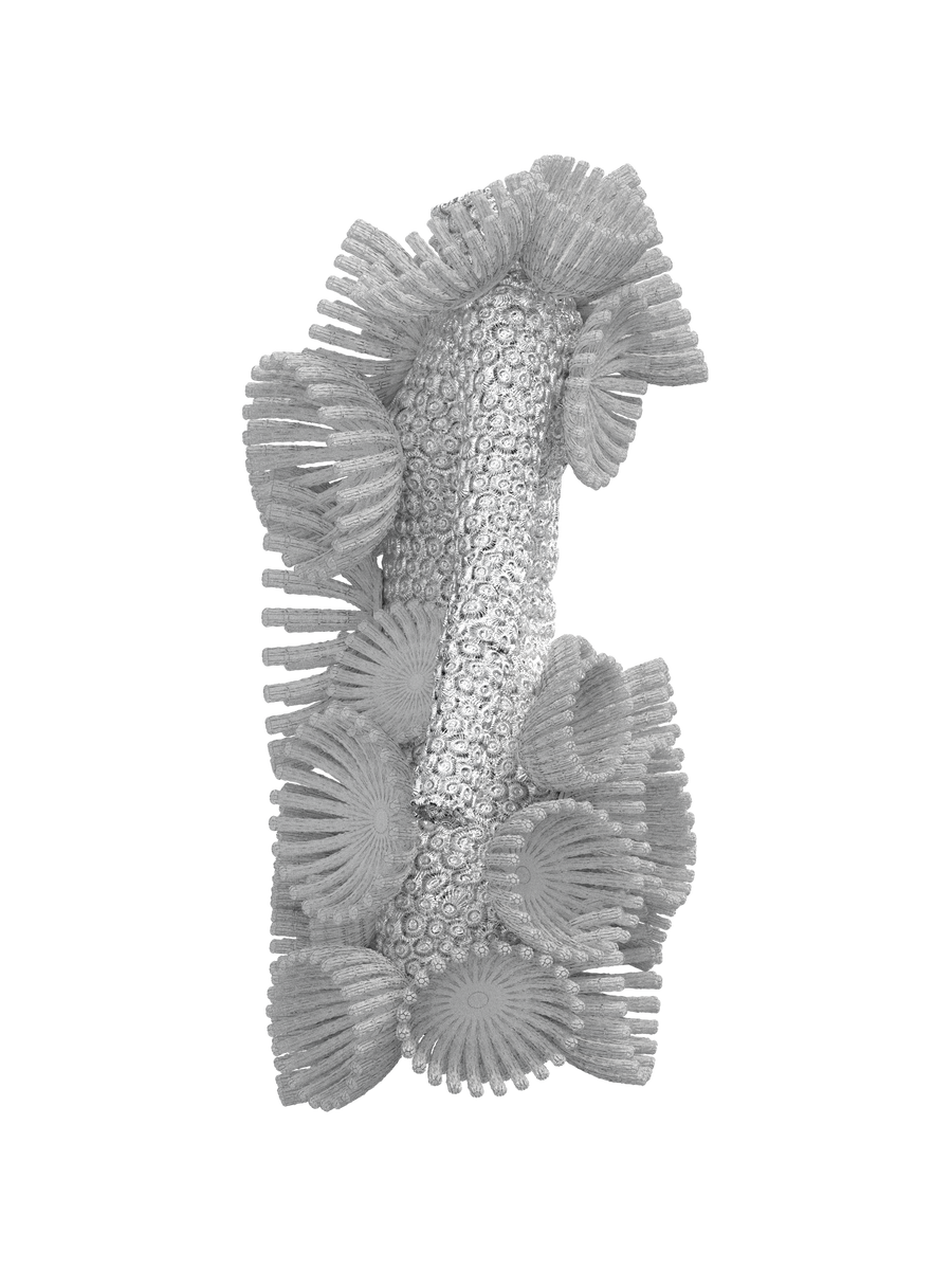 David Oks: adagio – DRESSX / More Dash Inc. dba DRESSX