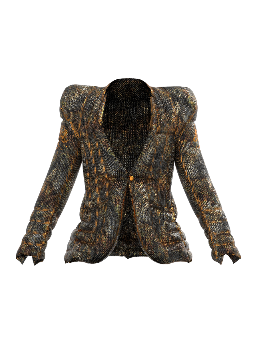 Fortune Protopian Jacket – DRESSX / More Dash Inc. dba DRESSX