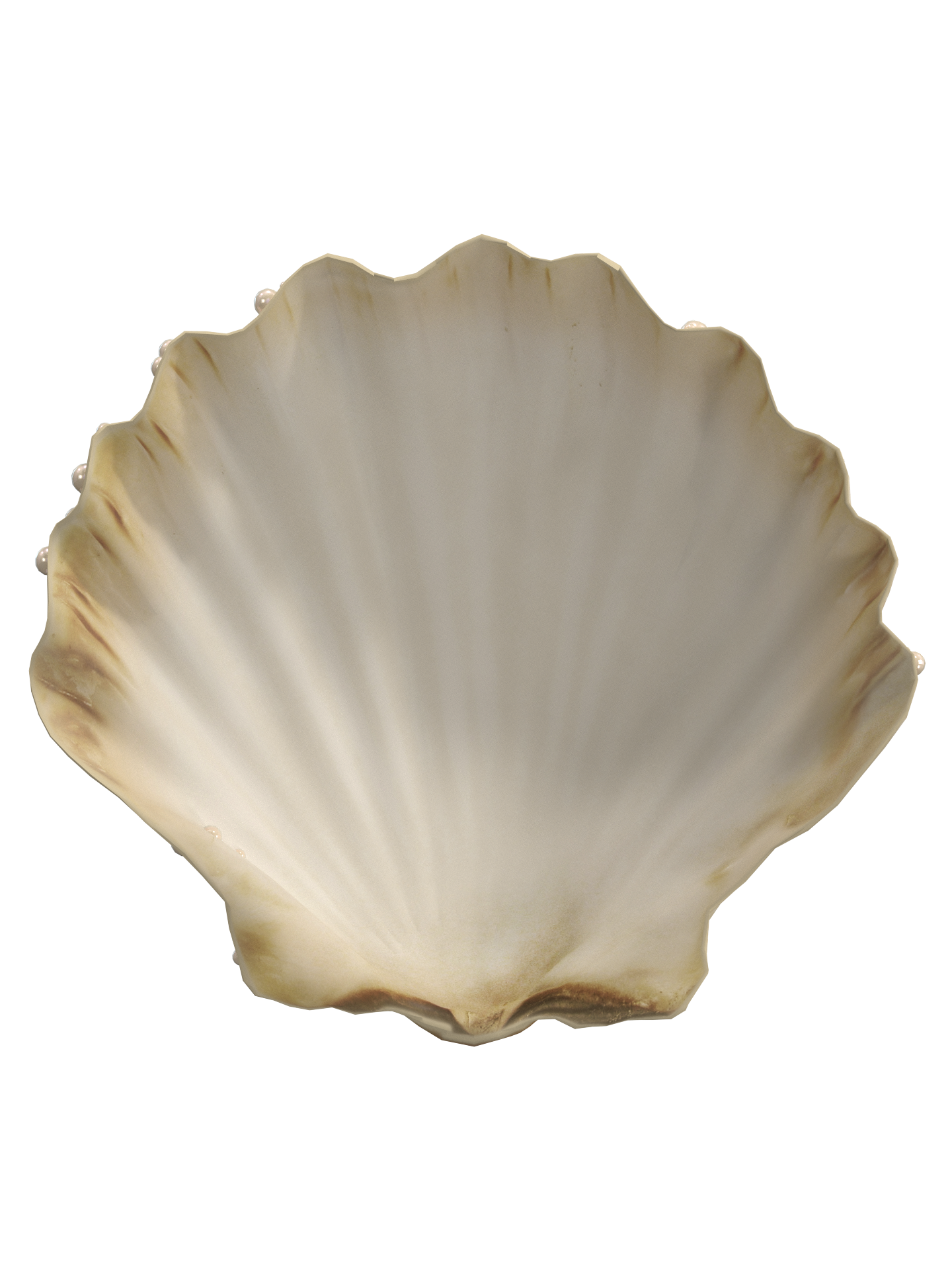 Seashells top – DRESSX / More Dash Inc. dba DRESSX